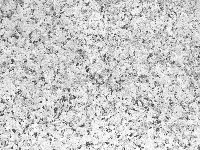 Texture of Floor of White Granite Stock Image - Image of branches ...