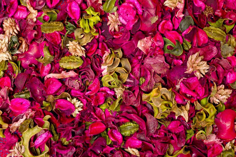 Texture floral rug stock image. Image of saturated, fragrance - 18487923