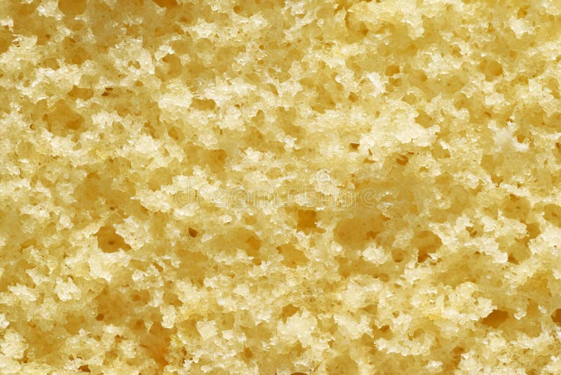 Texture of Fluffy Sponge Cake Stock Photo - Image of macro, detailed ...