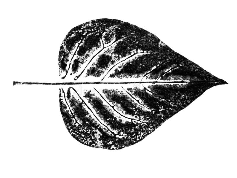Foliage Imprint Stock Illustrations – 2,113 Foliage Imprint Stock ...