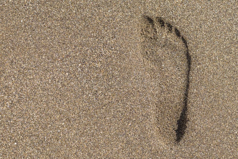Texture Trace of the Right Foot on Wet Sand, Top View, Background Stock ...