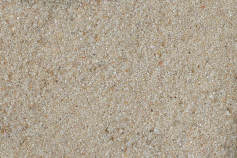 Sand texture close up. stock photo. Image of close, flooring - 208593176