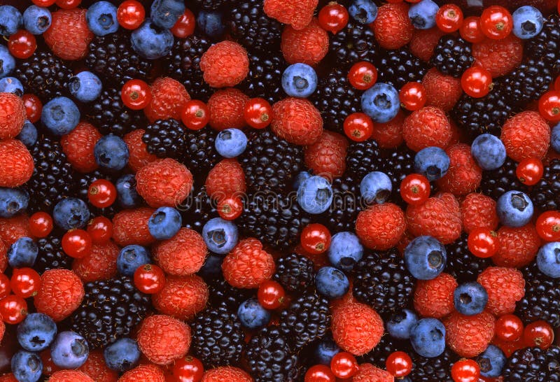Texture of Four Different Berries in Flat Lay Angle Stock Photo - Image ...