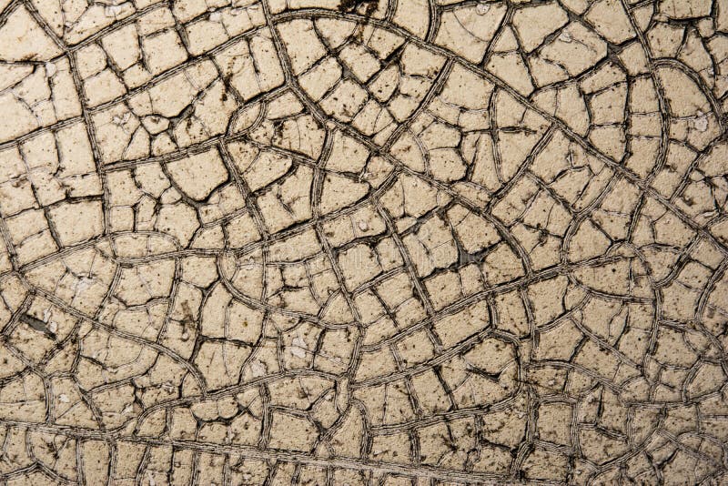 Texture of a Fractured Rock Surface Stock Photo - Image of grey ...