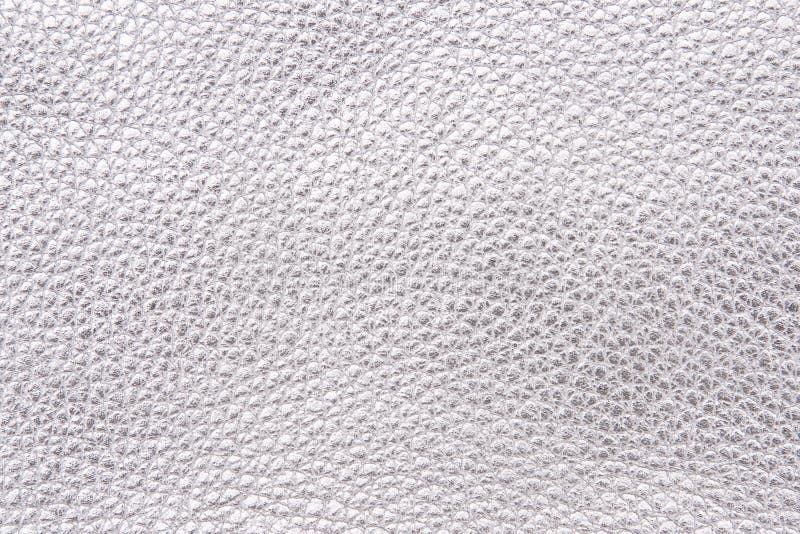 Silver skin close-up stock photo. Image of luxury, design - 121875874