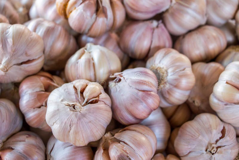 Texture of fresh garlic stock photo. Image of spice - 208875990