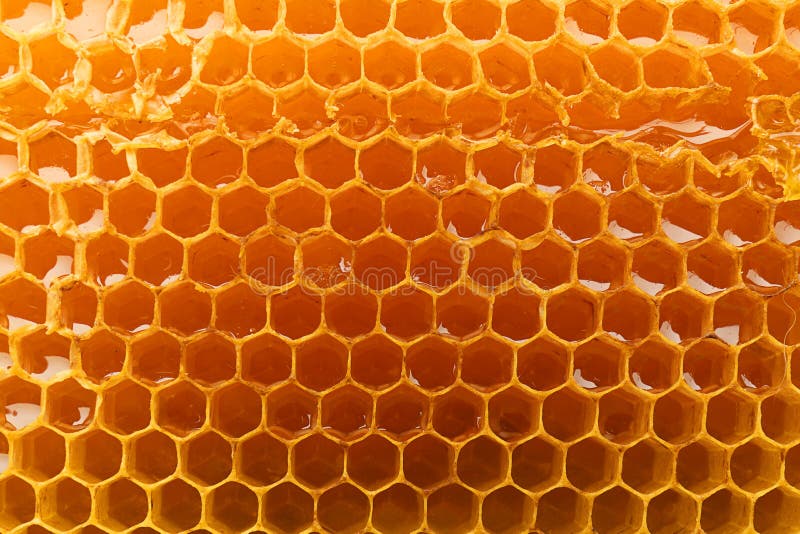 Texture of Fresh Honeycomb, Closeup Stock Image - Image of organic ...