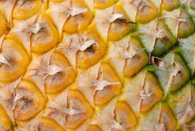 Texture of fresh pineapple stock image. Image of fruit - 39792579