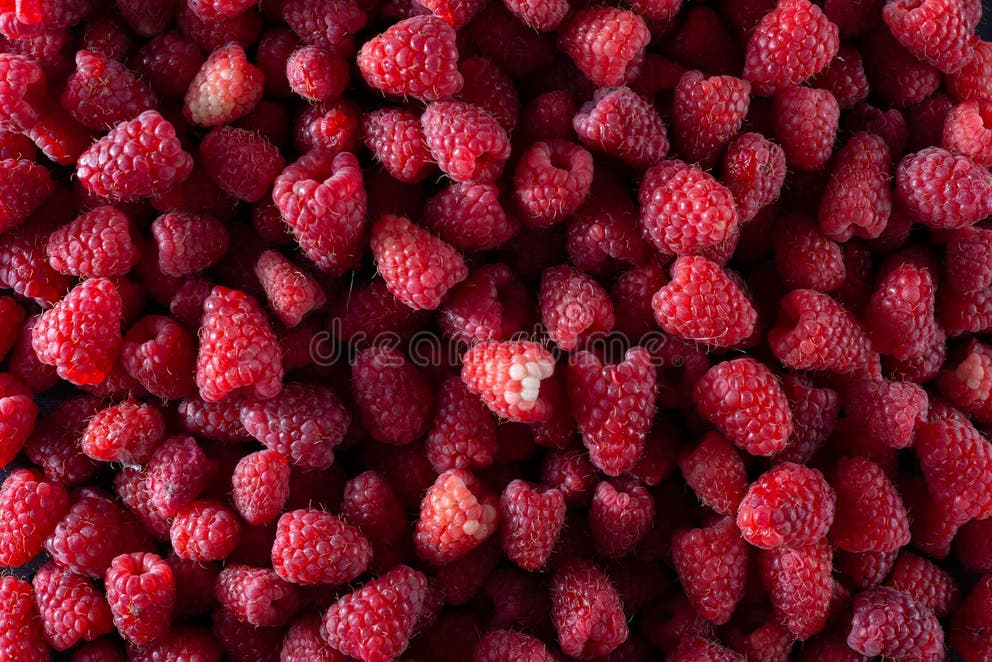 Texture of Fresh Raspberries Top View Pink Stock Image - Image of ...