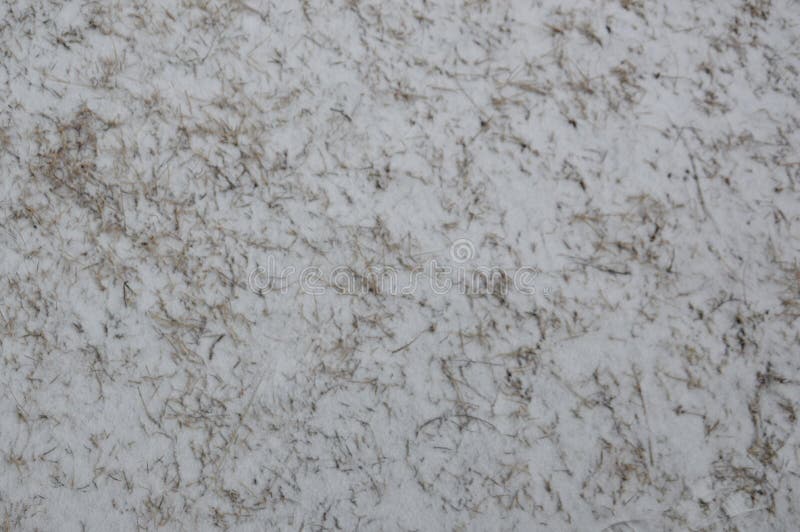 Texture of Freshly Fallen White Snow Stock Image - Image of frost ...