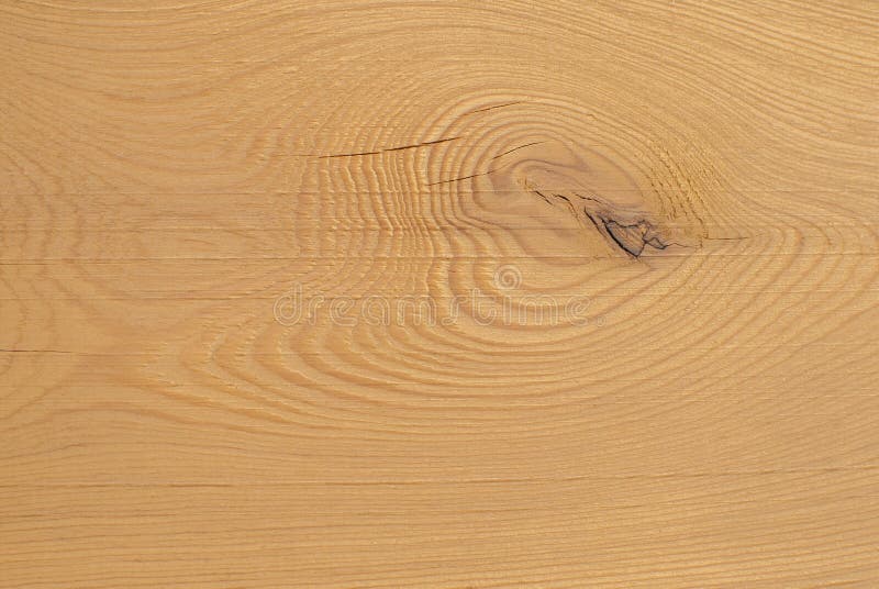 The Texture of Freshly Sawn Wood is Light Sand Color Stock Photo ...