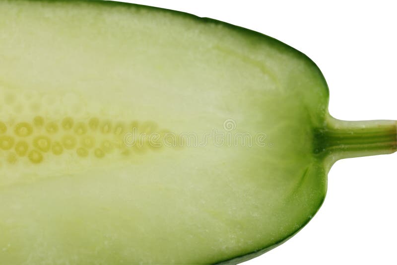 Texture of Freshness Cucumber. Stock Image - Image of freshness ...