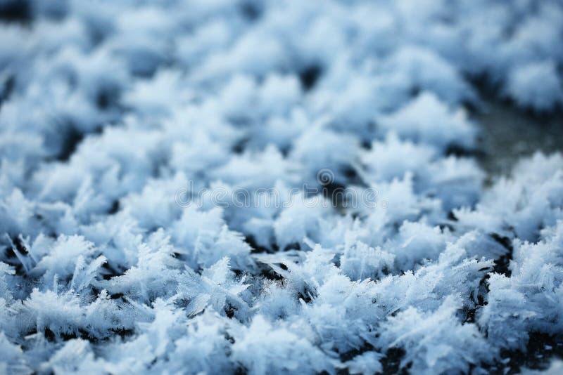 Texture of frost crystals stock photo. Image of abstract - 66406770