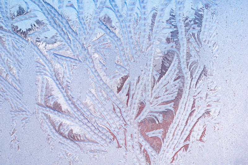 Frosty patterns stock image. Image of winter, beauty - 295620877