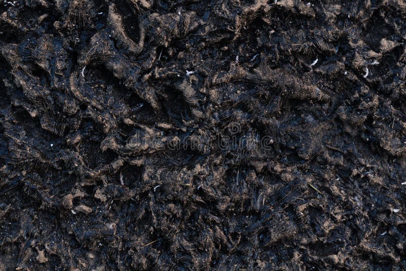 Texture of Frozen Dirt. the Concept of Dead Earth, Planet Stock Image ...