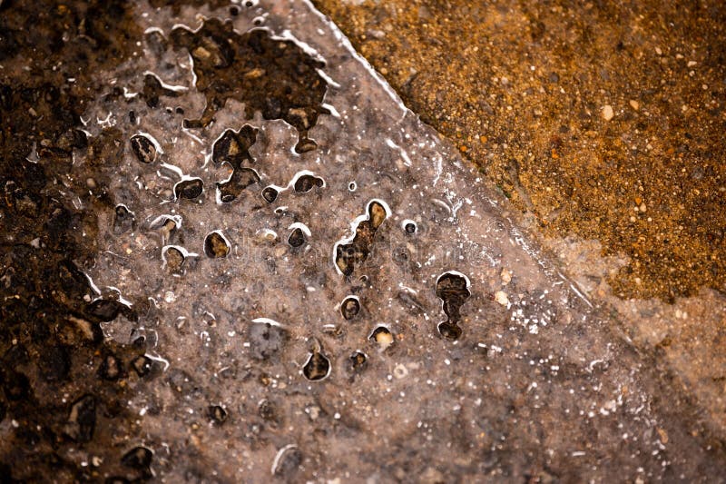 Texture of the Frozen Edges of a Puddle on the Ground Stock Image ...