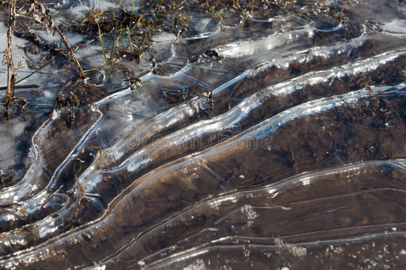 Texture. Frozen puddle stock photo. Image of pond, ground - 122725832