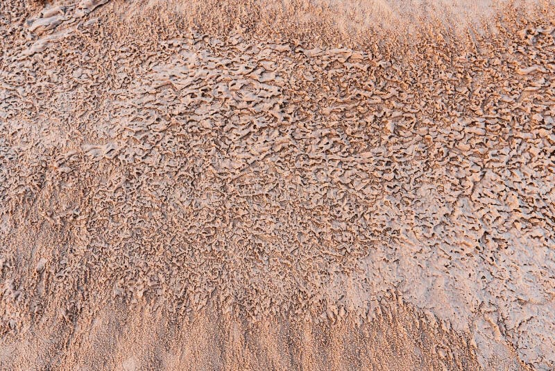 Frozen sand at the beach stock photo. Image of branch - 10891608