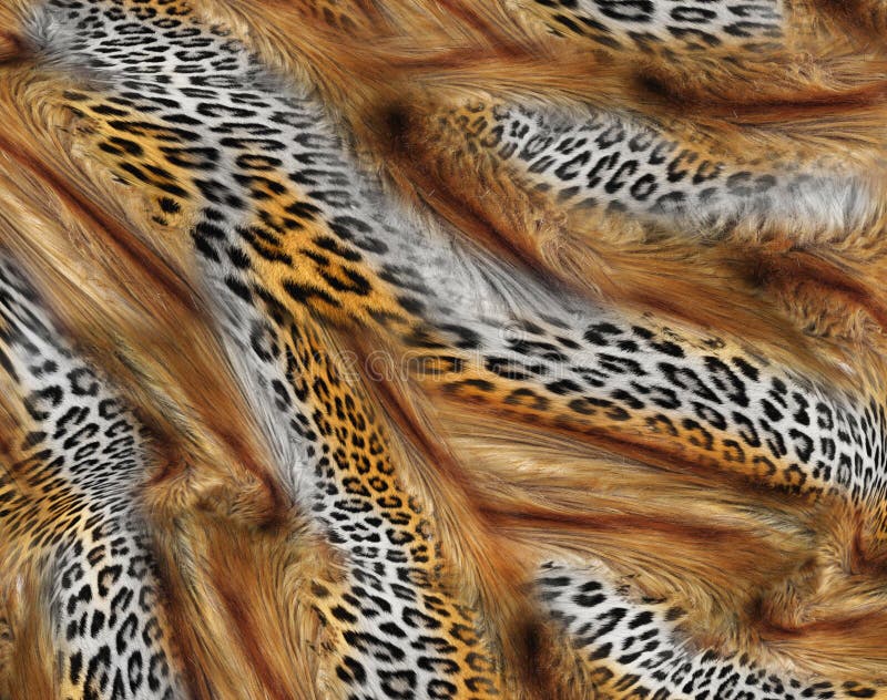 Texture of Fur Fox and Leopard Stock Illustration - Illustration of ...