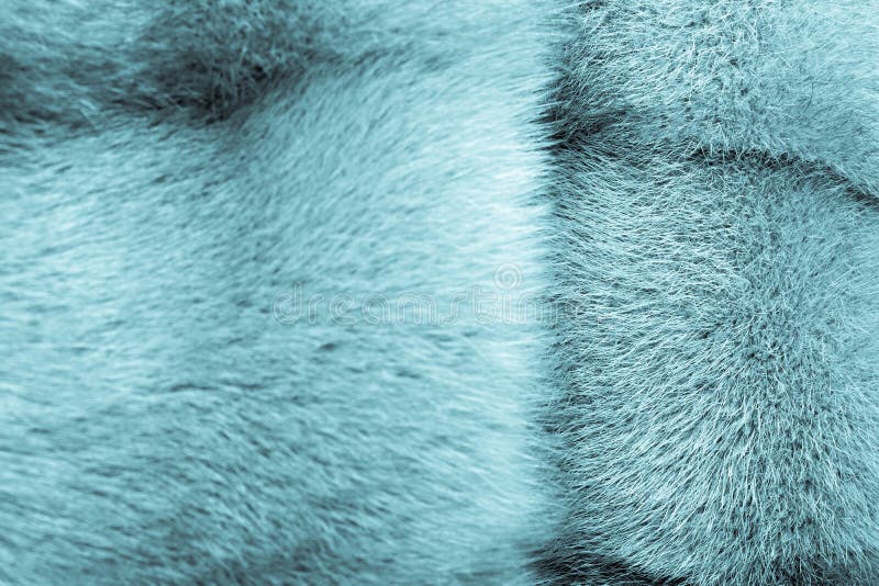 Texture from Fur of Indigo Color Stock Image - Image of backdrop, blue ...