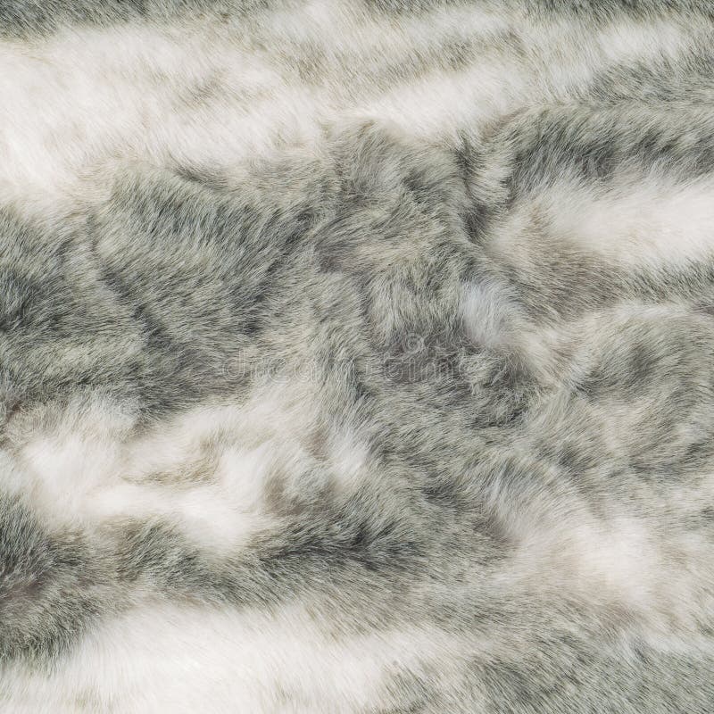 Texture. Fur. Rabbit stock photo. Image of fashion, hair - 123452806