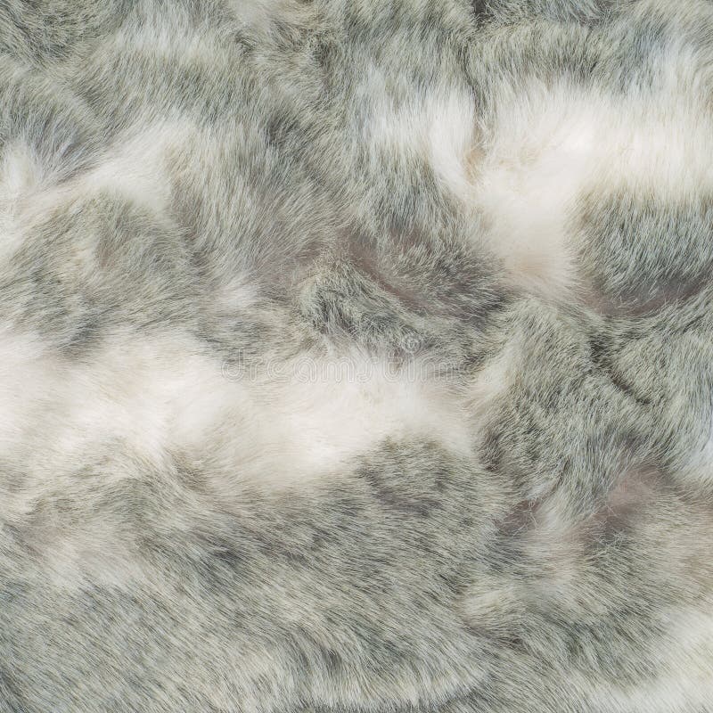 Texture. Fur. Rabbit. stock image. Image of decoration - 123442467