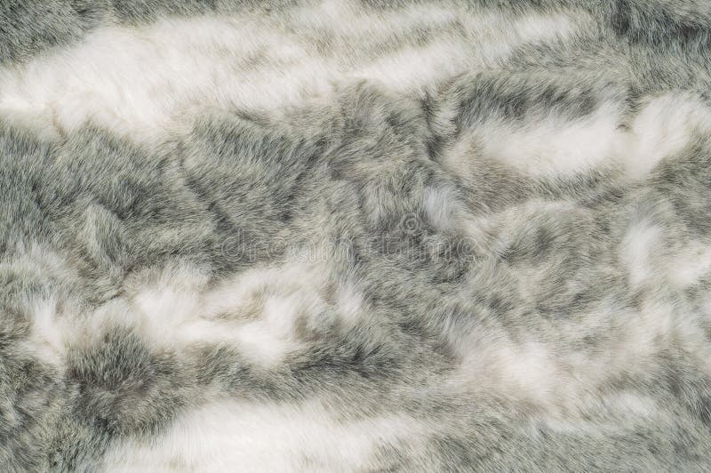 Texture. Fur. Rabbit stock image. Image of furry, hairy - 123452745