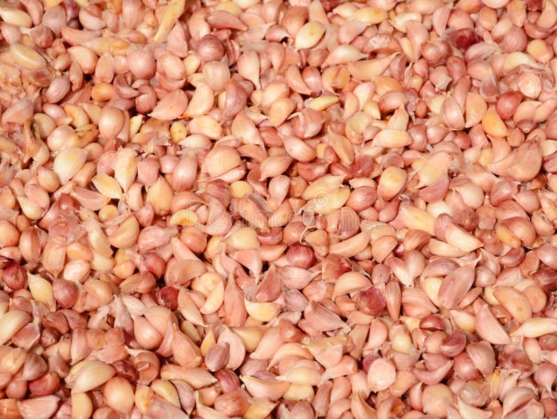 The Texture of the Garlic Pose on the Dining Table 41 Stock Photo ...
