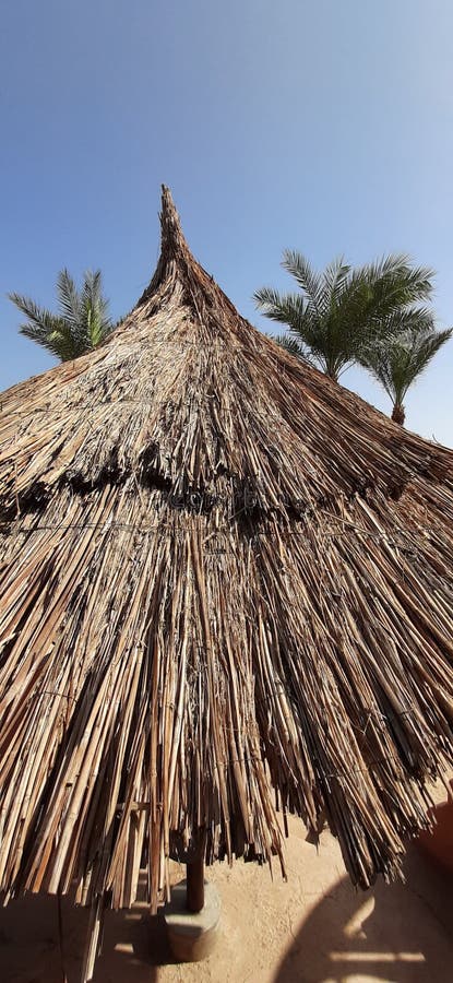 The Texture of the Gatural Straw. Canopy from the Sun. Stock Image ...