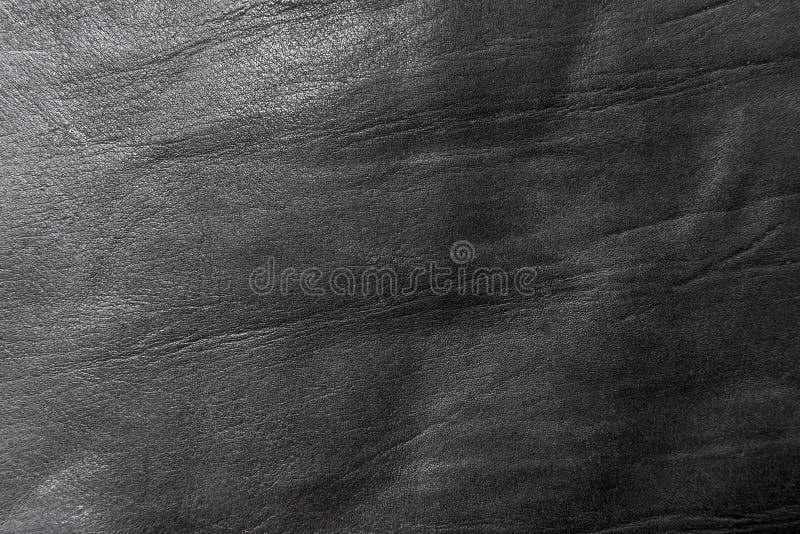 Texture of Genuine Black Leather. Leather Background with Gradient ...