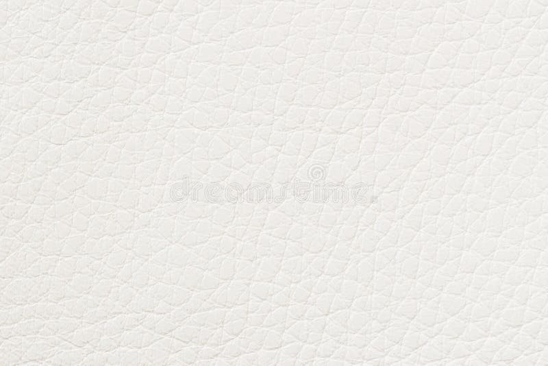 Texture of Genuine Leather, Light Color. for Background, Copy Space ...