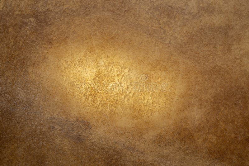 Texture of a Goat Skin on a Shaman Frame Drum Stock Photo - Image of ...