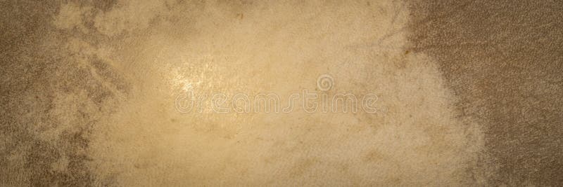 Texture of a goat skin stock image. Image of panorama - 261527671
