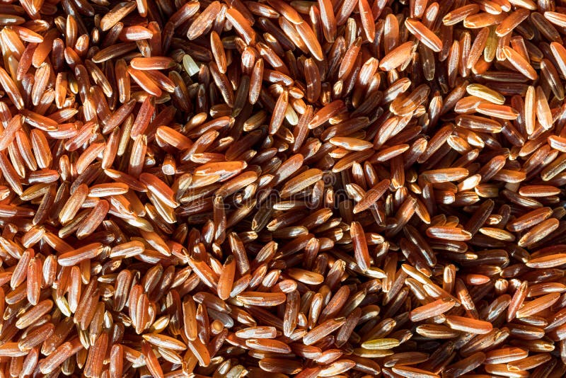 Texture of Grains of Red Uncooked Rice Stock Photo - Image of nutrition ...