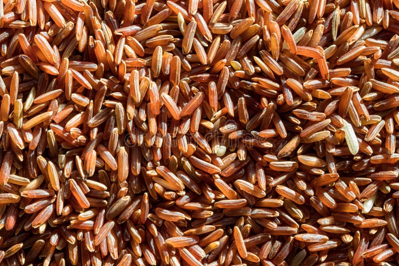 Texture of Grains of Red Uncooked Rice Stock Image - Image of asian ...