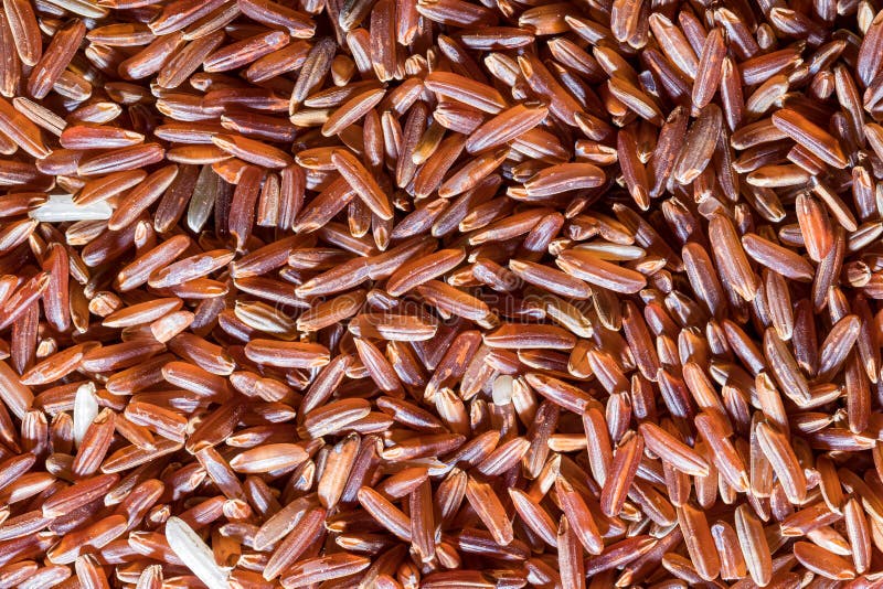 Texture of Grains of Red Uncooked Rice Stock Photo - Image of nutrition ...