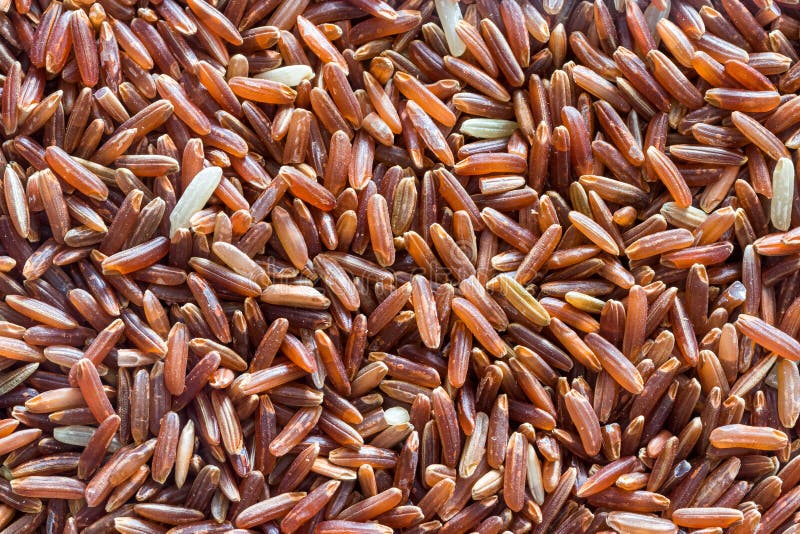 Texture of Grains of Red Uncooked Rice Stock Image - Image of food ...
