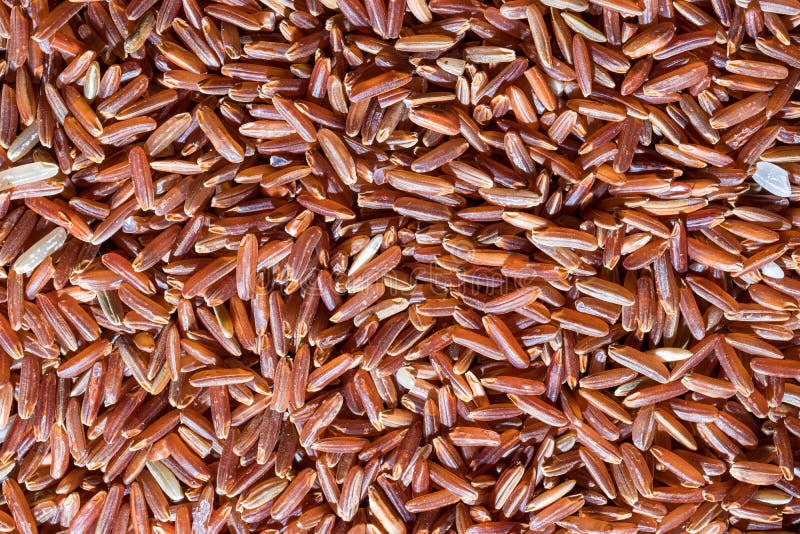 Texture of Grains of Red Uncooked Rice Stock Photo - Image of ...