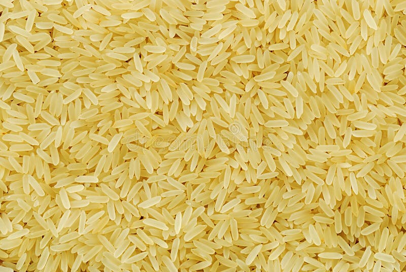 Wheat stock photo. Image of background, food, farm, spindly - 23331738