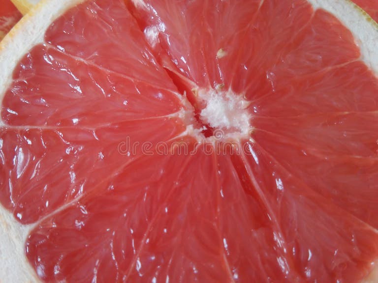 Texture of the grapefruit stock image. Image of yellow - 89392325
