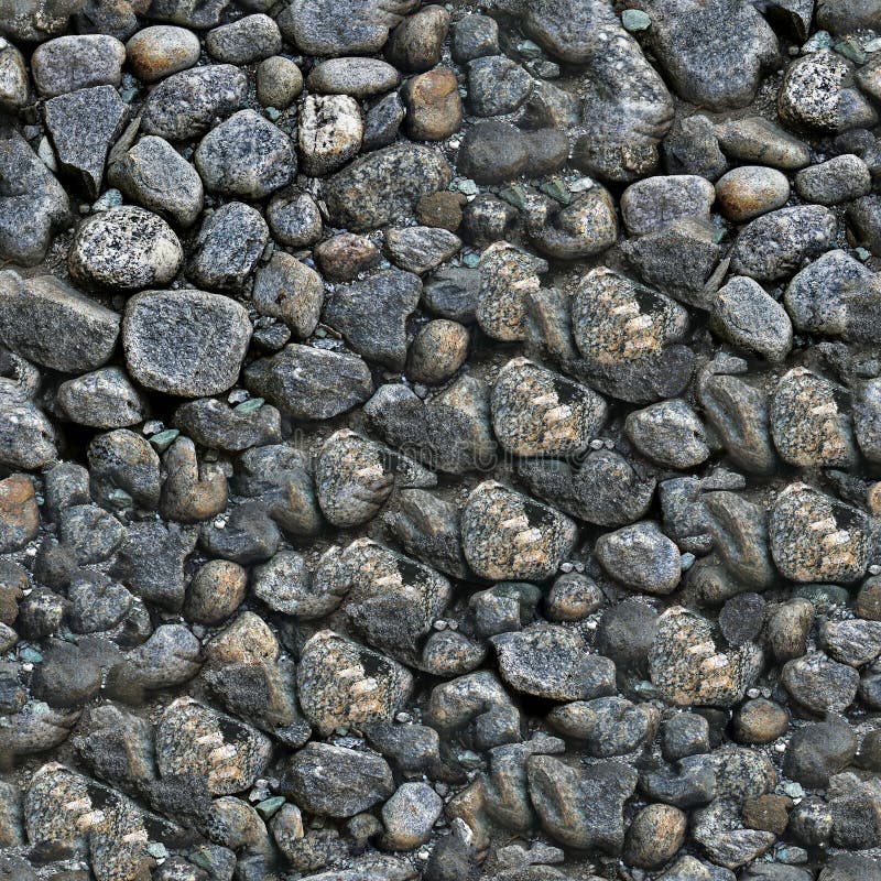 Texture Gravel Pavement. High Resolution Stock Image - Image of ...