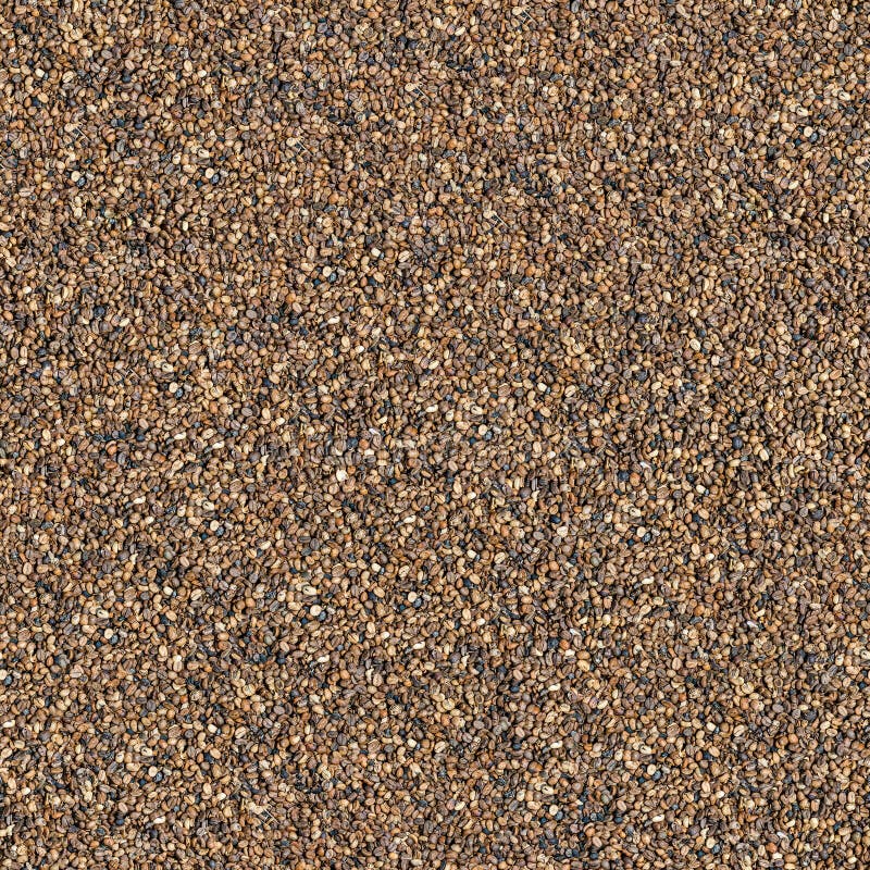 Texture Gravel Pavement. High Resolution Stock Image - Image of ...