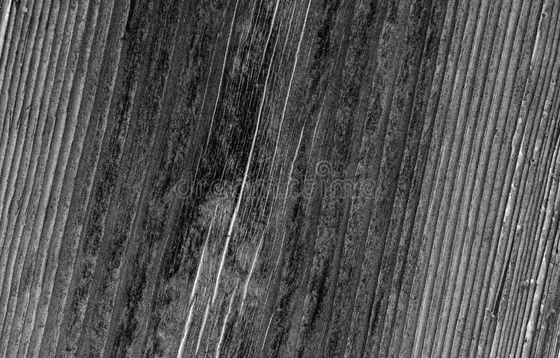 Texture of a gray board stock photo. Image of floor - 166014518