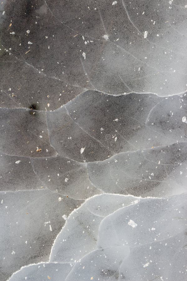 Texture of Gray Cracked Ice on a Pond Stock Photo - Image of pond, gray ...