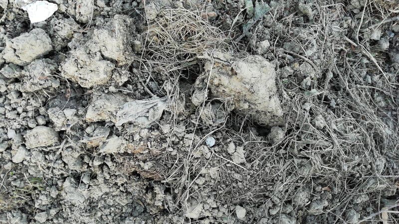 The texture of gray earth stock image. Image of design - 171366319