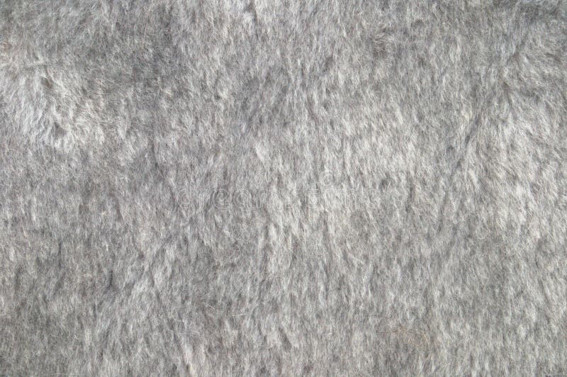 The texture of gray fur stock photo. Image of wall, wool - 224064438