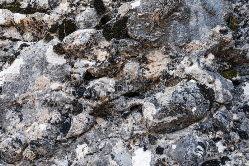 Texture of Gray Stone on Mountain in Close-up Stock Image - Image of ...