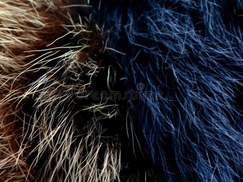 Texture of Gray Wolf Hair Fur. Texture of Fur. Wool of Wolf. Wool of ...