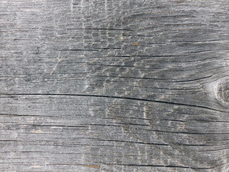 Texture of Gray Wooden Boards Stock Photo - Image of floor, pale: 100614414