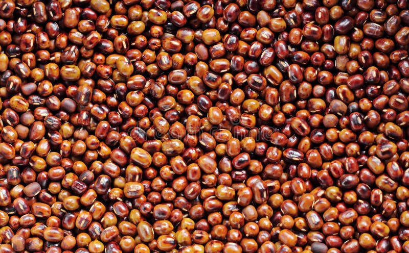 Texture of Green Beans stock image. Image of organic - 79349079